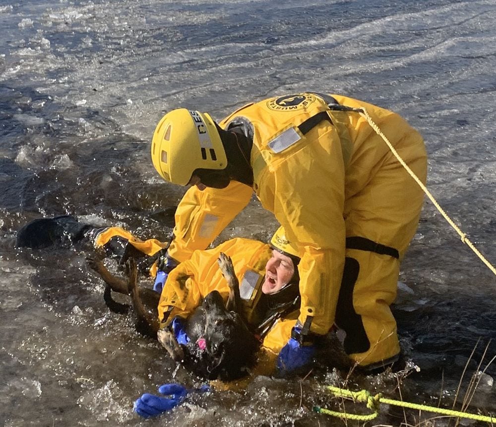 Dog Rescued in Hanson After Falling Thru the Ice | WATD 95.9 FM